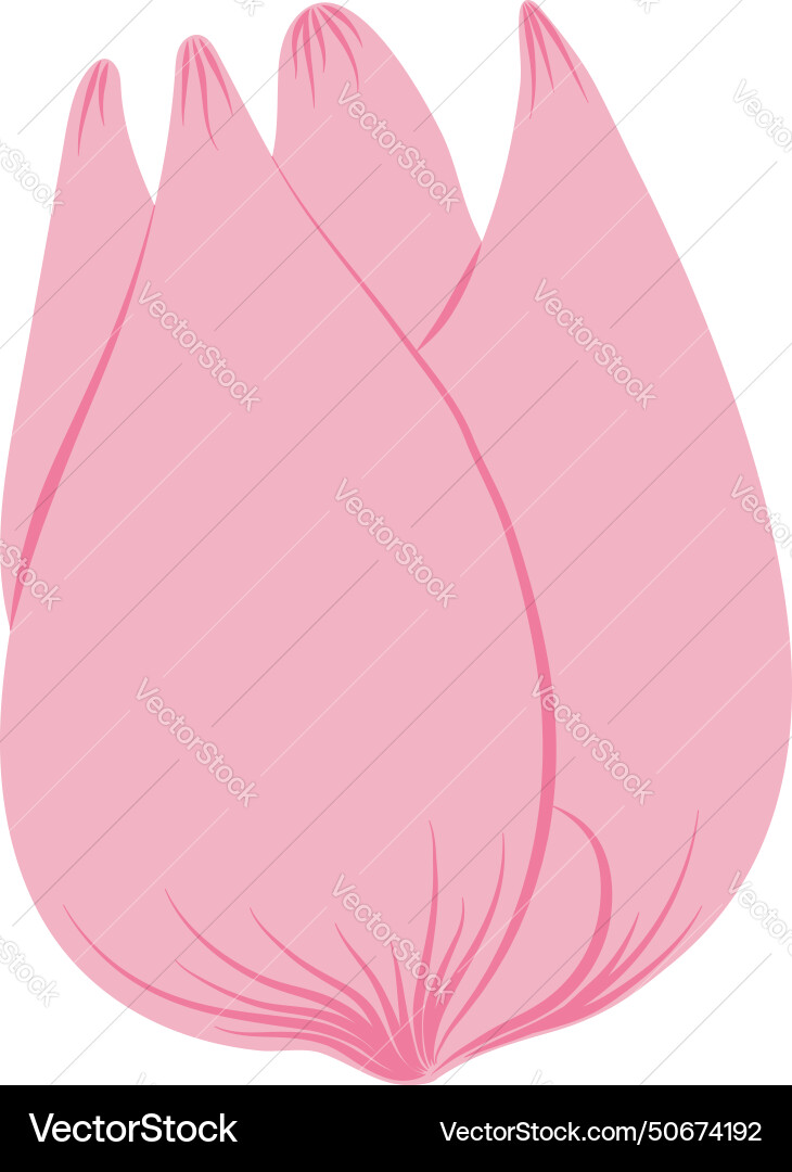 Tulip flower head hand drawn flat Royalty Free Vector Image