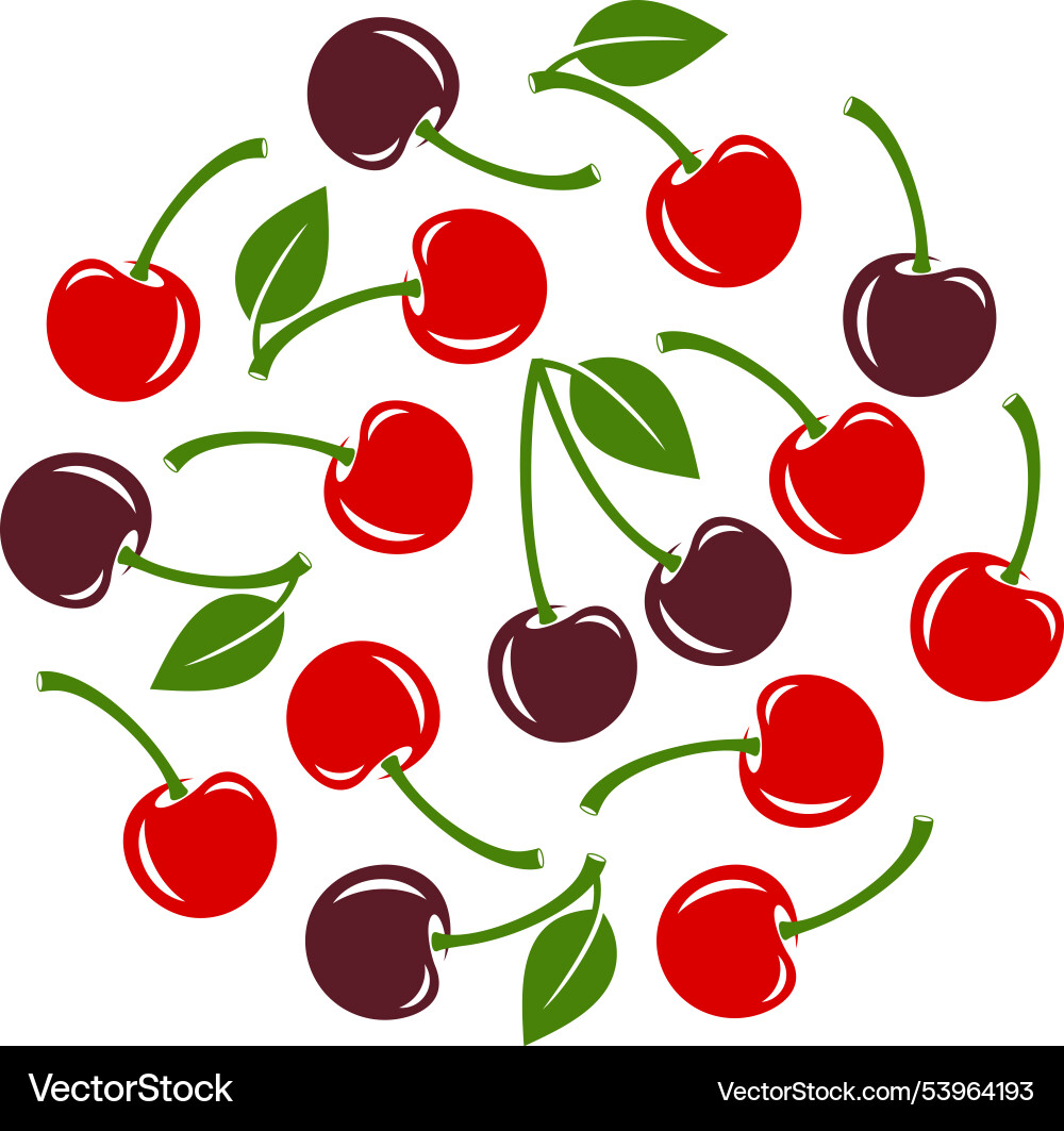 Cherry Royalty Free Vector Image - VectorStock