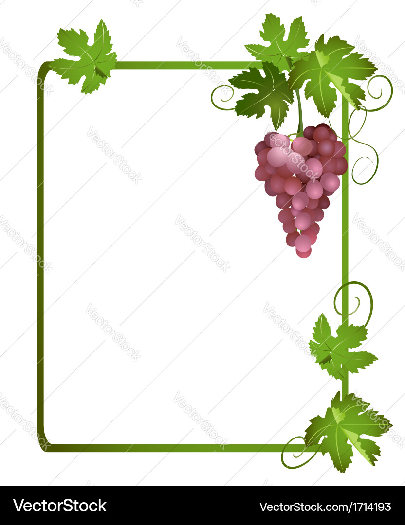 Green frame with a bunch of grapes Royalty Free Vector Image