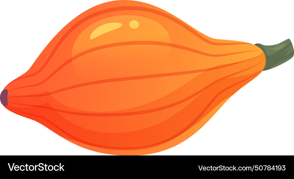 Orange pumpkin fresh fall vegetable tasty squash Vector Image