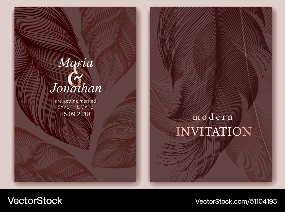 Pale feathers line art bird feather card Vector Image