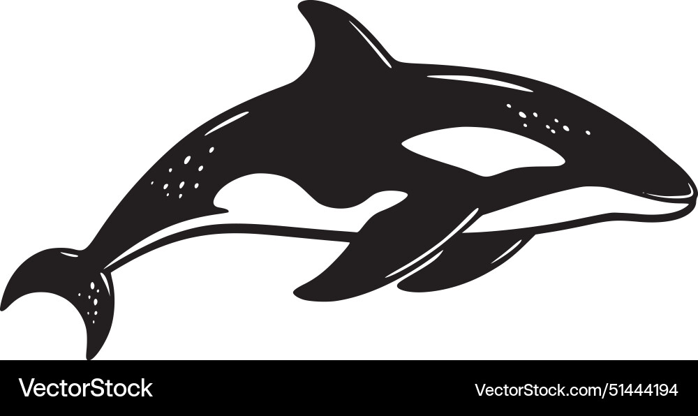 Orca - black and white isolated icon Royalty Free Vector