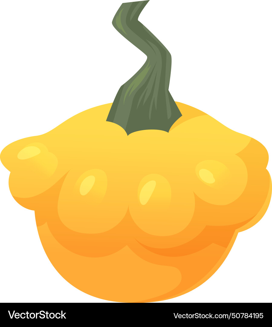 Cartoon squash fall harvest symbol vegetable Vector Image