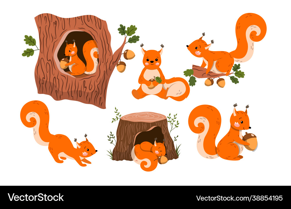 Cute red squirrel Royalty Free Vector Image - VectorStock
