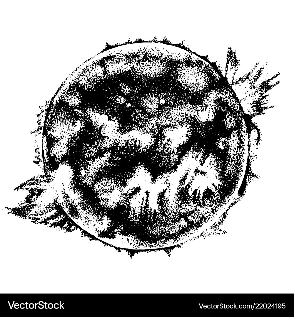 Hand drawn sun Royalty Free Vector Image - VectorStock