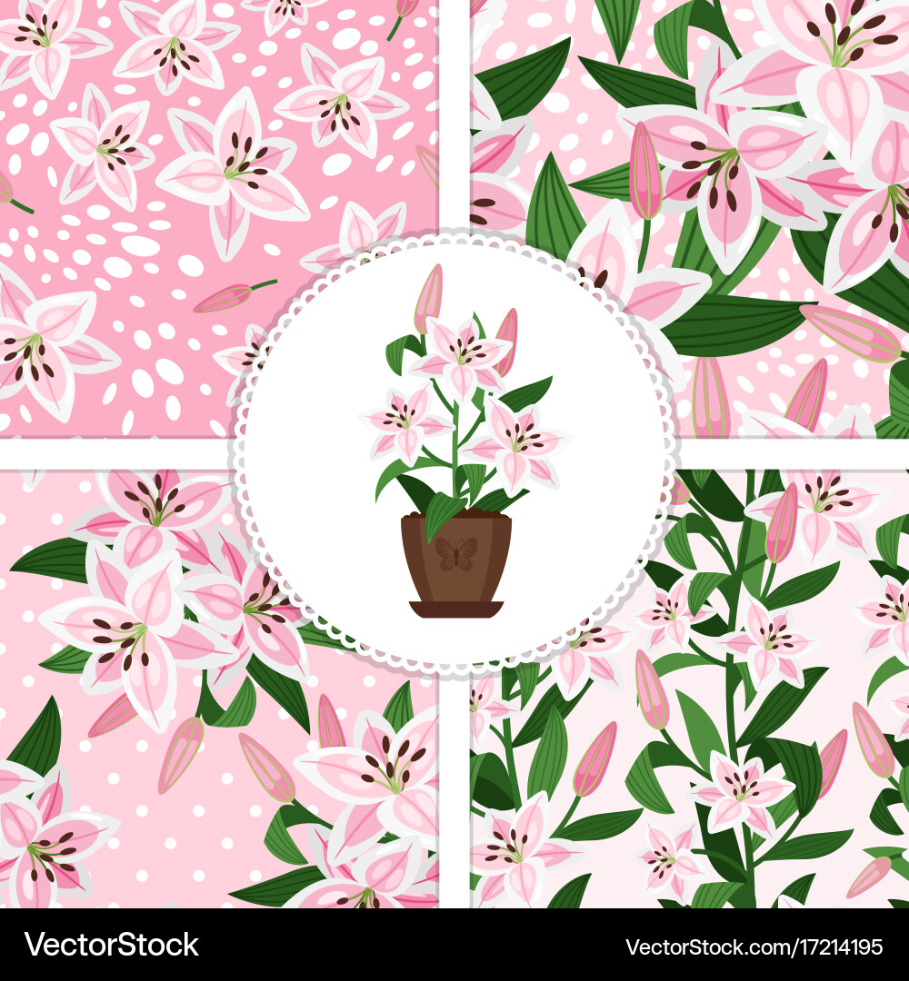 Pink Lily Flower Patterns – Royalty-Free Vector | VectorStock