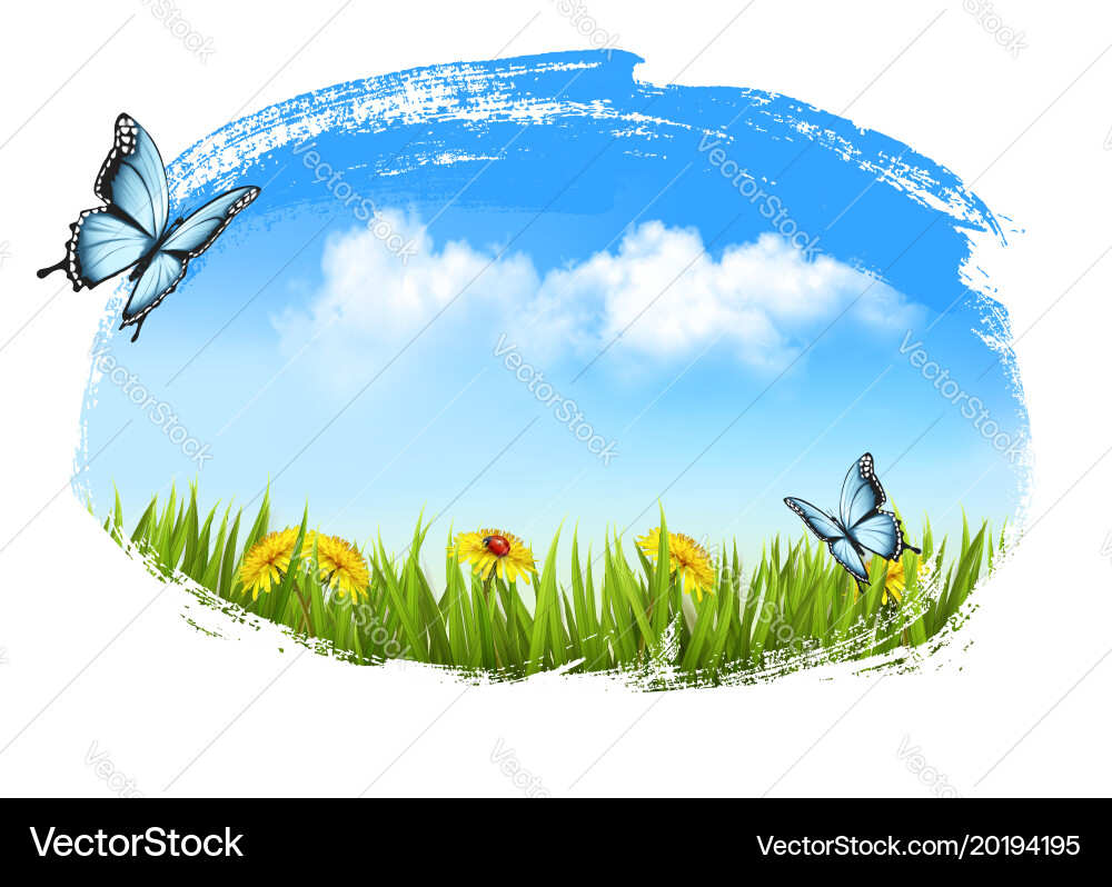 Spring nature background with green grass flowers Vector Image