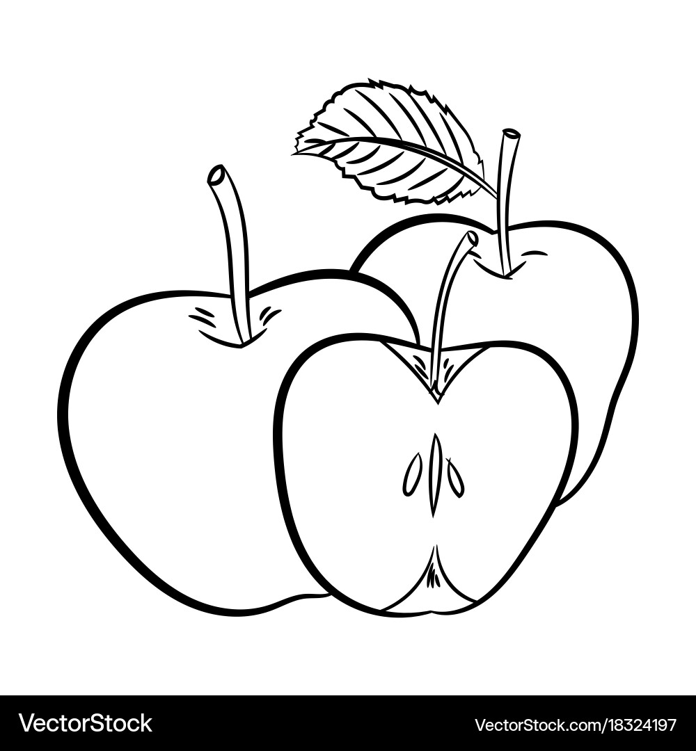 Line drawing of apples -simple Royalty Free Vector Image
