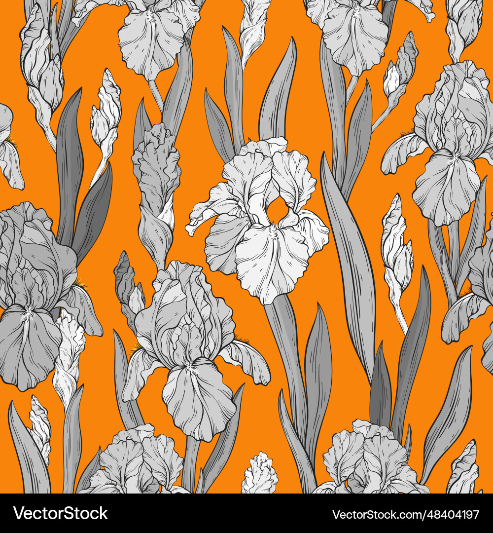 Pattern with iris flowers orange background Vector Image