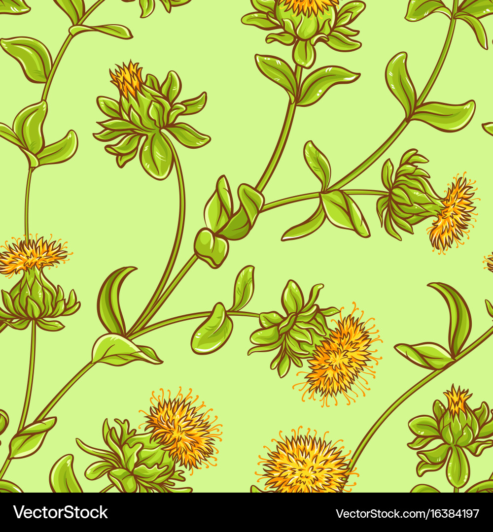 Safflower seamless pattern Royalty Free Vector Image