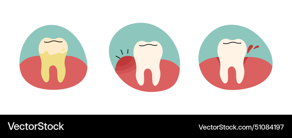 Teeth 12 Royalty Free Vector Image - VectorStock