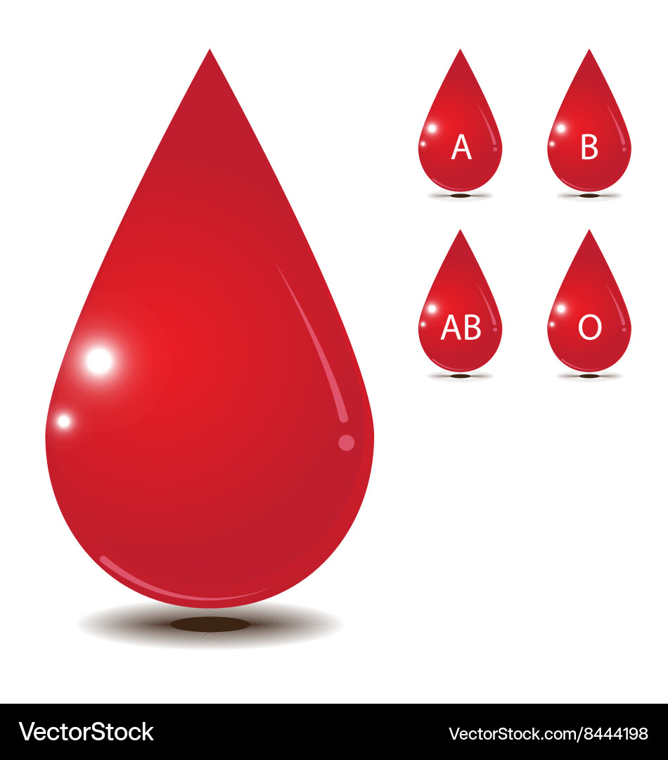 Blood drop isolate on white back ground Royalty Free Vector