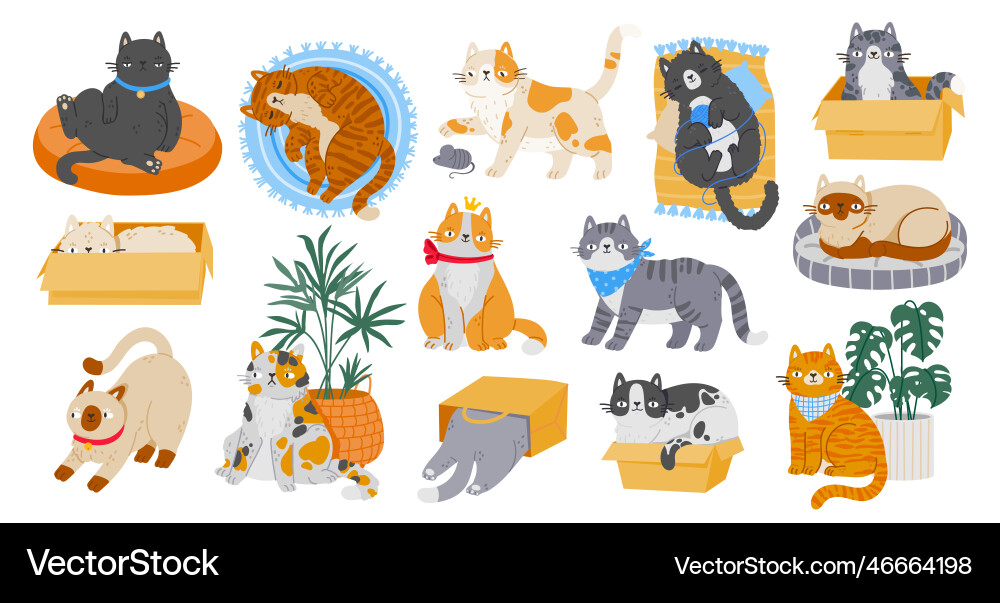 Cartoon cute pet cats character different kitten Vector Image