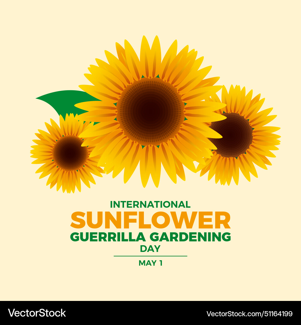 Sunflower guerilla gardening day poster Royalty Free Vector