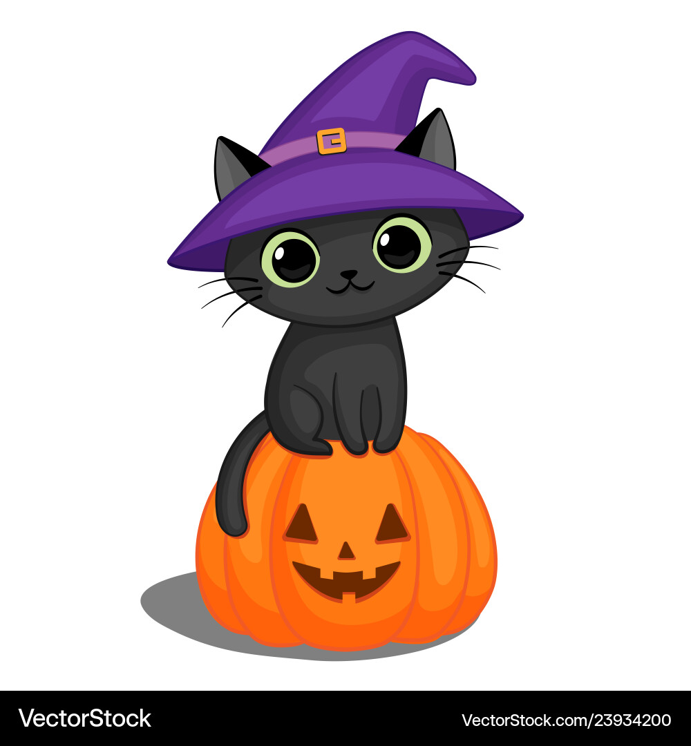 Black cat in a witch hat on halloween pumpkin Vector Image