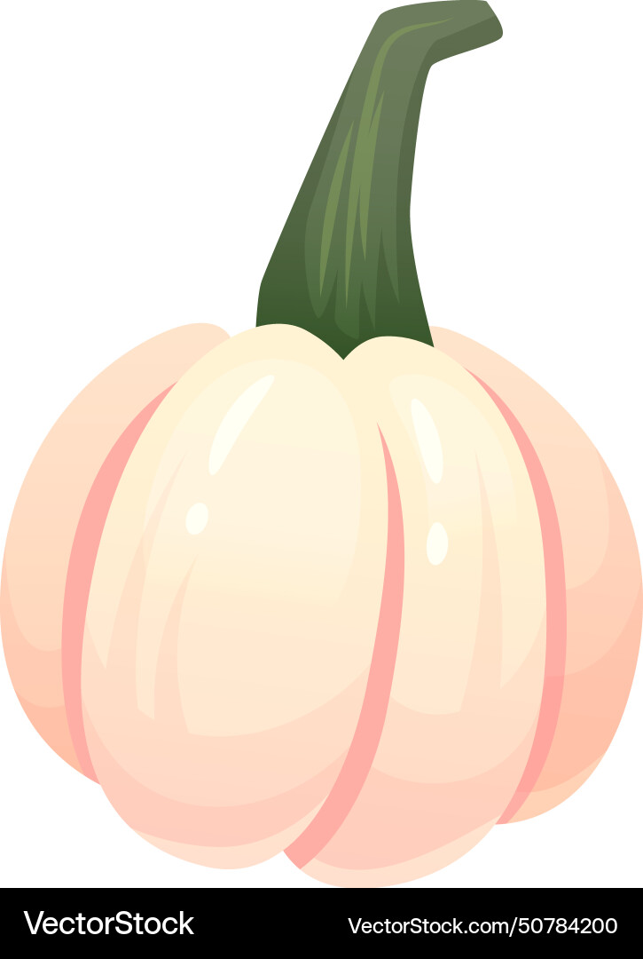 Cartoon squash icon healthy organic vegetable Vector Image