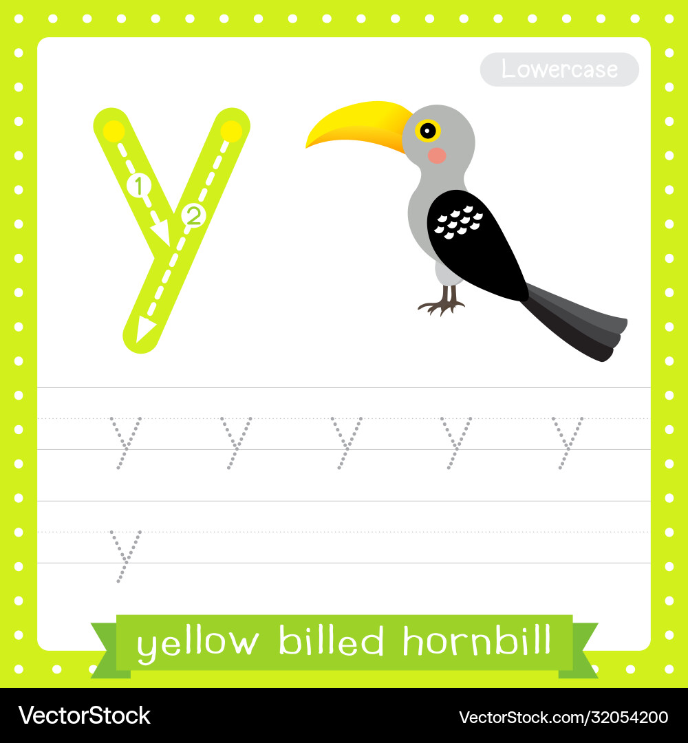 Letter y lowercase tracing practice worksheet Vector Image