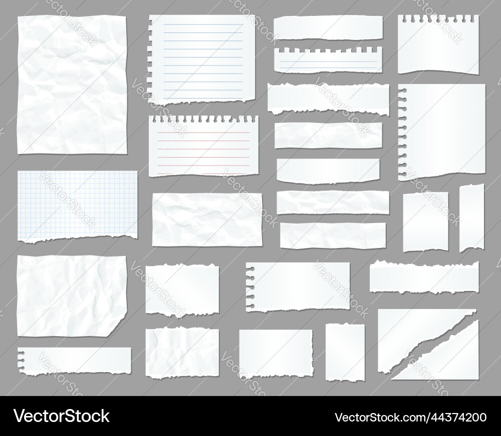 White torn paper rip pieces crumpled sheet Vector Image