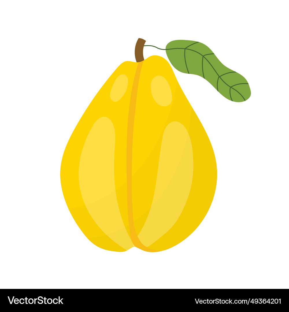 Quince whole fruit in cartoon style Royalty Free Vector