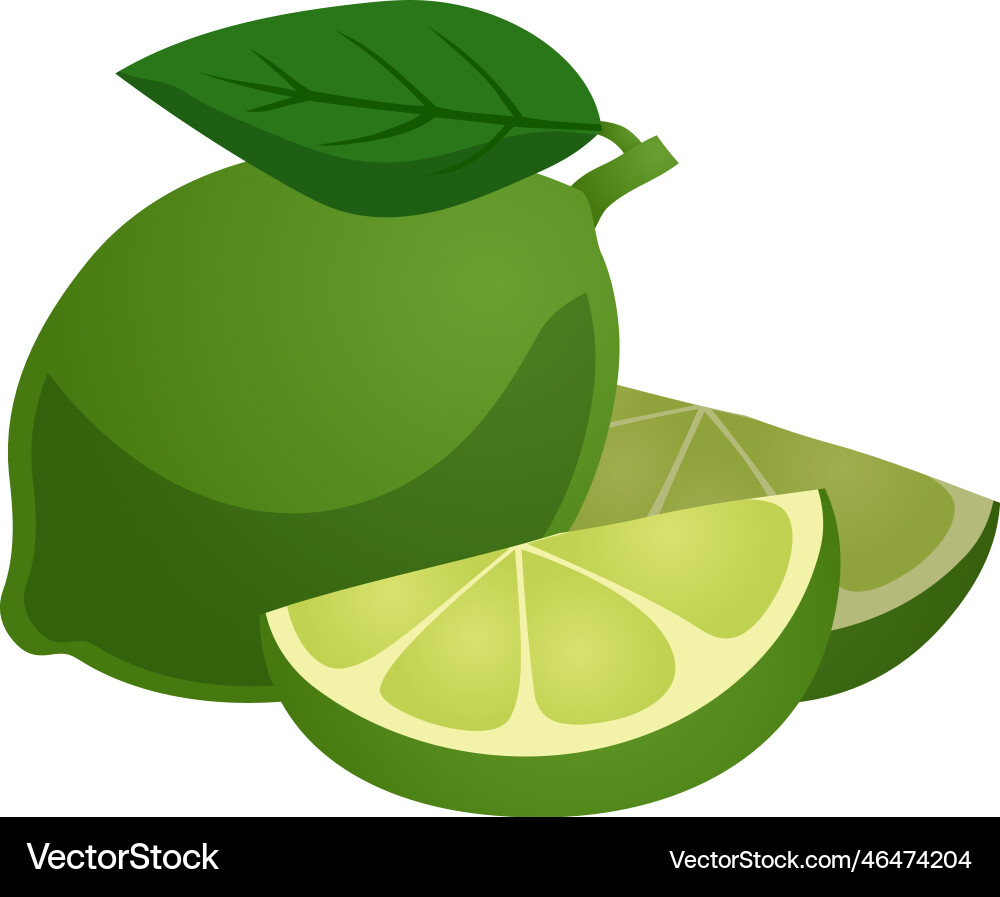 Flat lime Royalty Free Vector Image - VectorStock