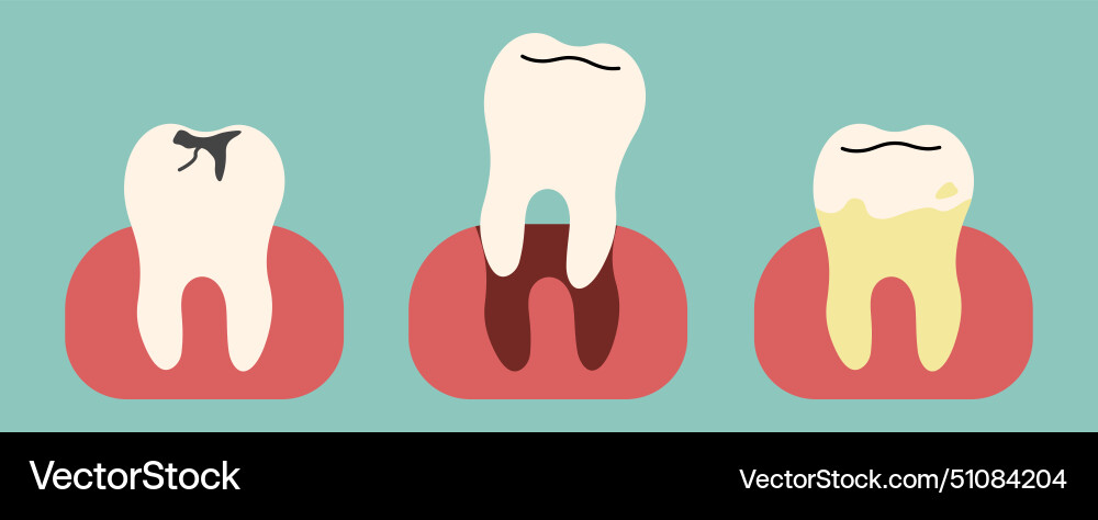 Teeth 7 Royalty Free Vector Image - VectorStock