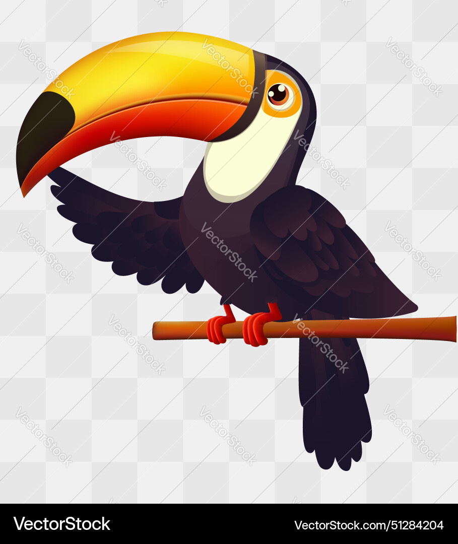 Toucan bird design Royalty Free Vector Image - VectorStock