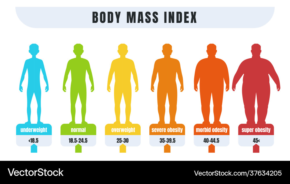 BMI Chart: Male Weight & Obesity Guide Vector Image