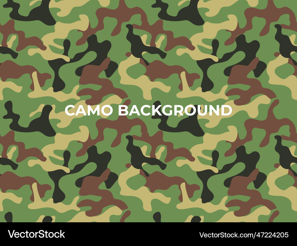 Seamless pattern camo background camouflage Vector Image