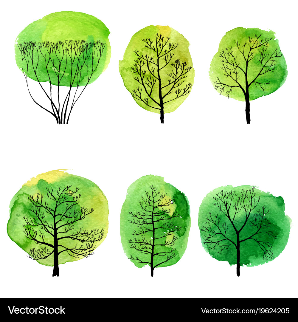 Set of deciduous trees Royalty Free Vector Image