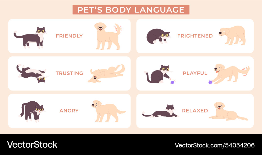 Animal language dog and cat body expression poses Vector Image