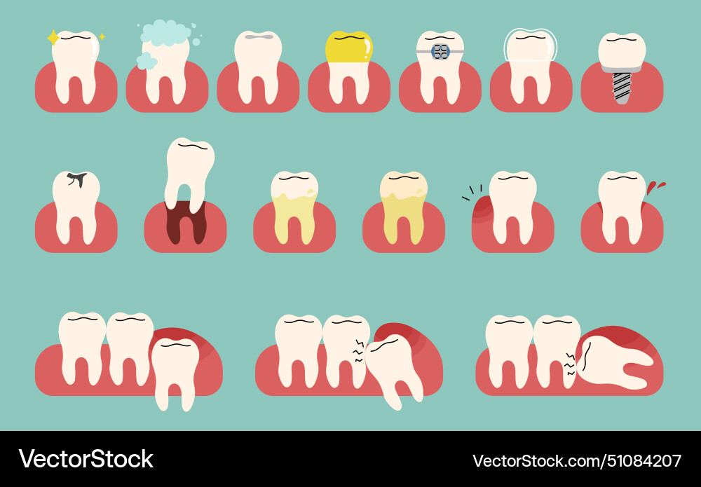 Teeth collection 1 Royalty Free Vector Image - VectorStock