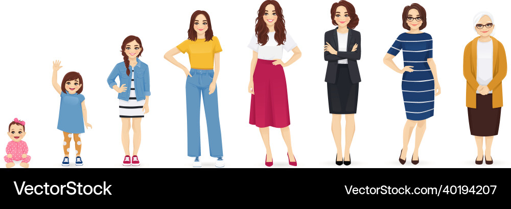 Woman life stages Royalty Free Vector Image - VectorStock