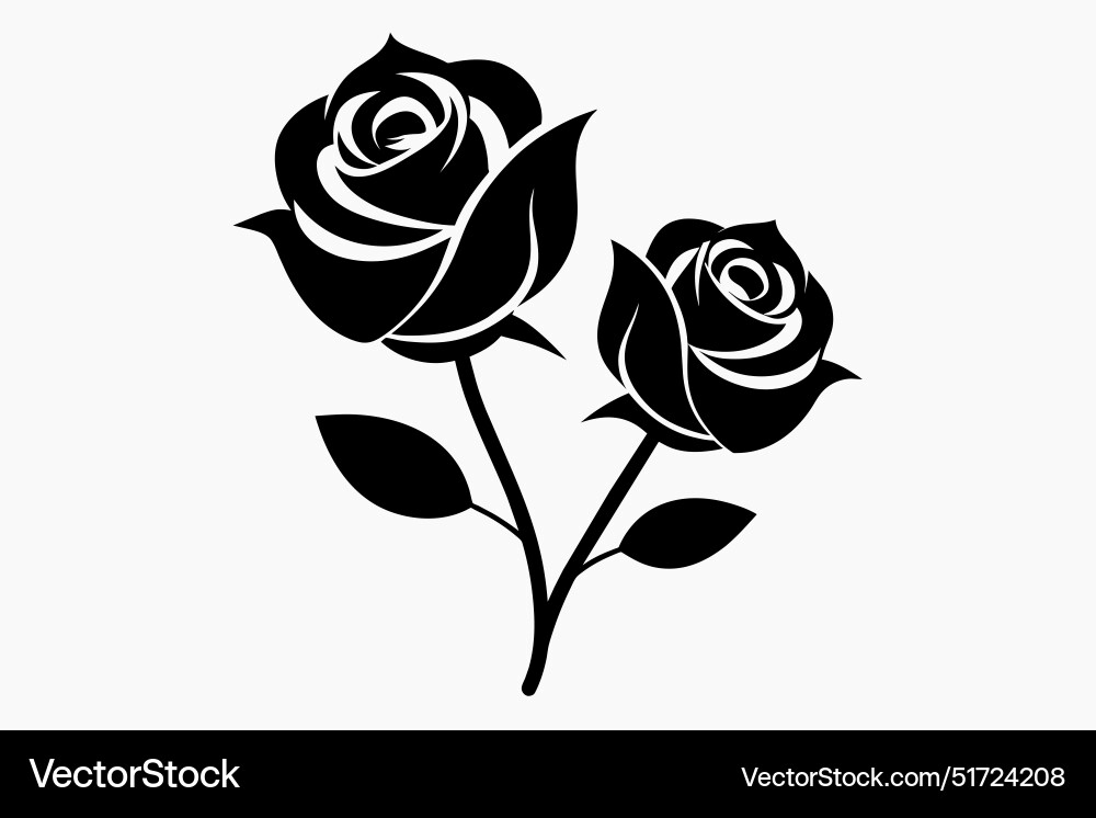 2 rose flower silhouette black and white Vector Image
