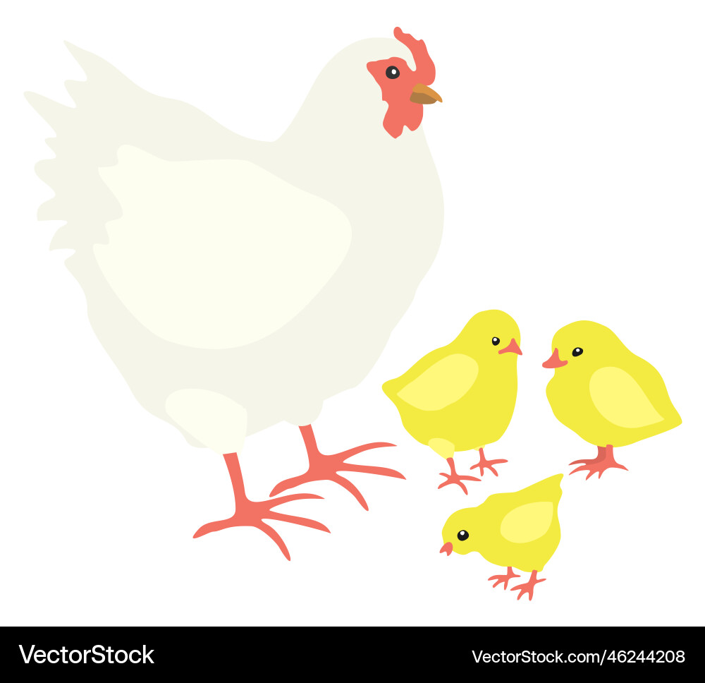 Isolated of hen and chicks Royalty Free Vector Image