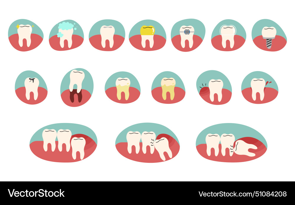 Teeth collection 2 Royalty Free Vector Image - VectorStock