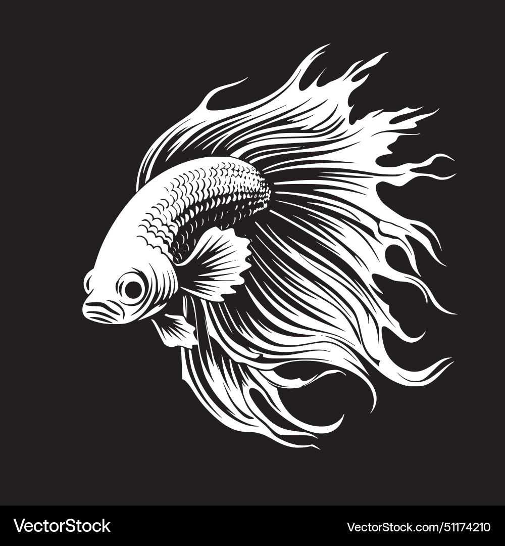 Betta fish - high quality logo ideal Royalty Free Vector