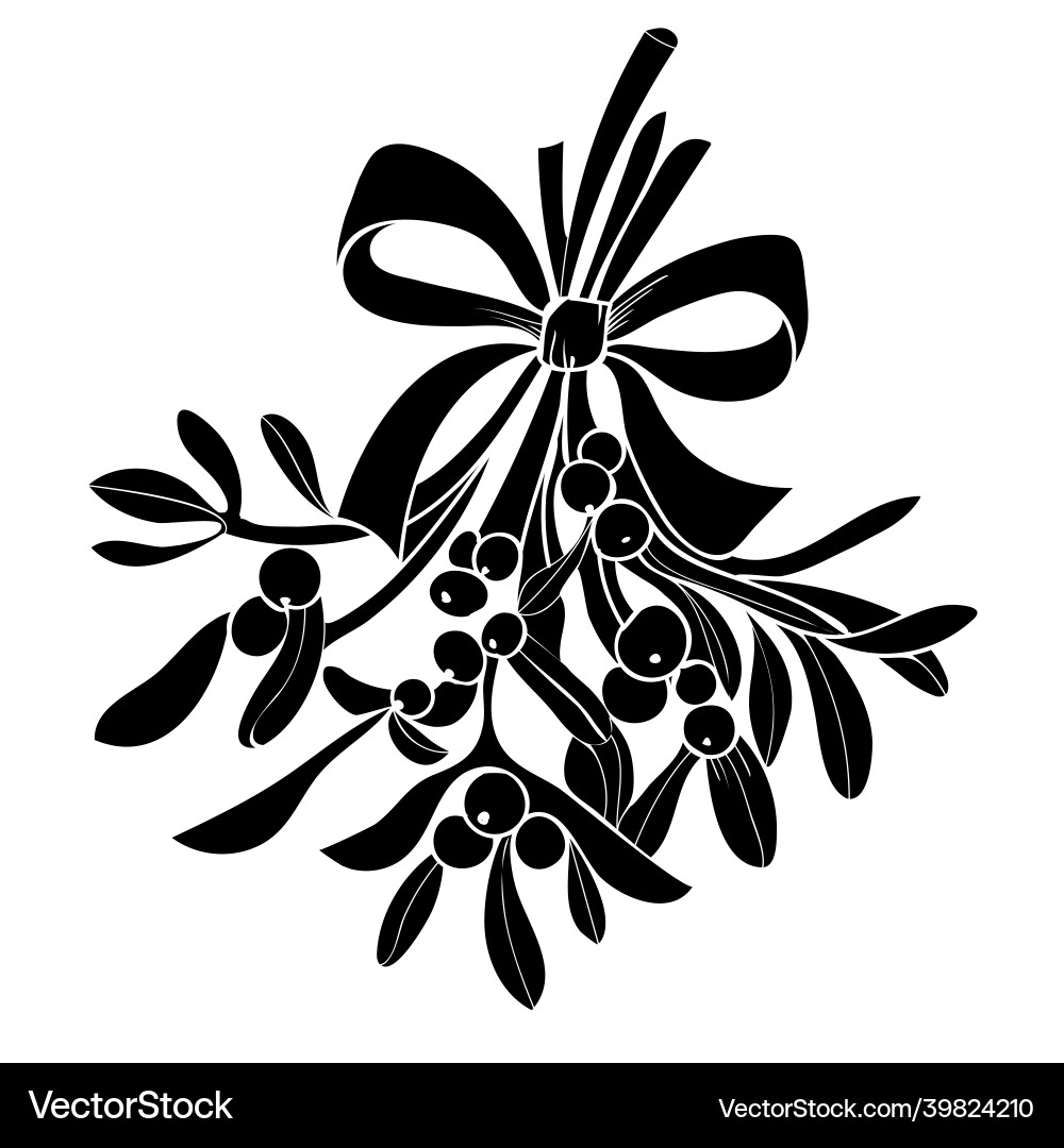 Christmas black and white mistletoe bouquet Vector Image