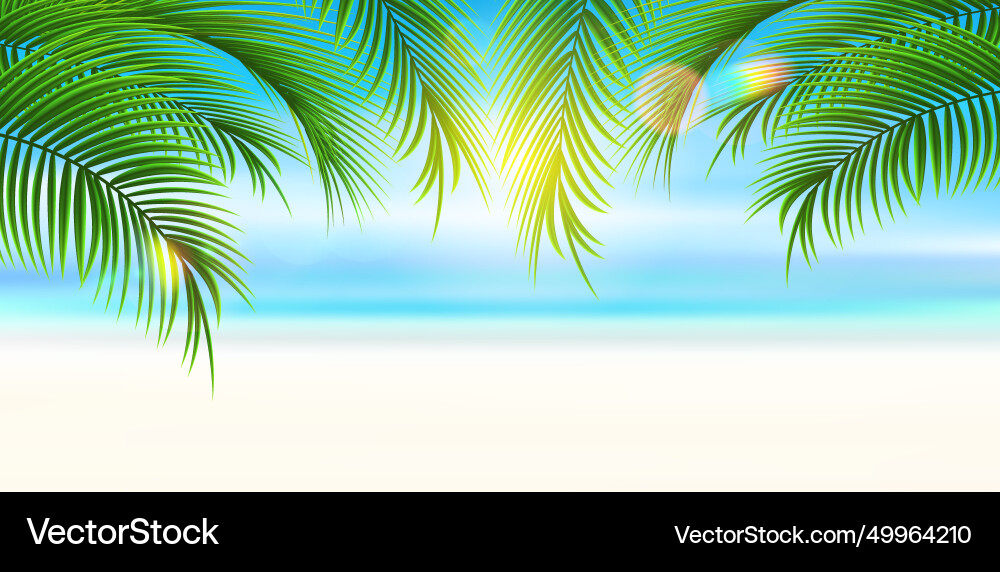 Tropical beach with palm leaves summer landscape Vector Image