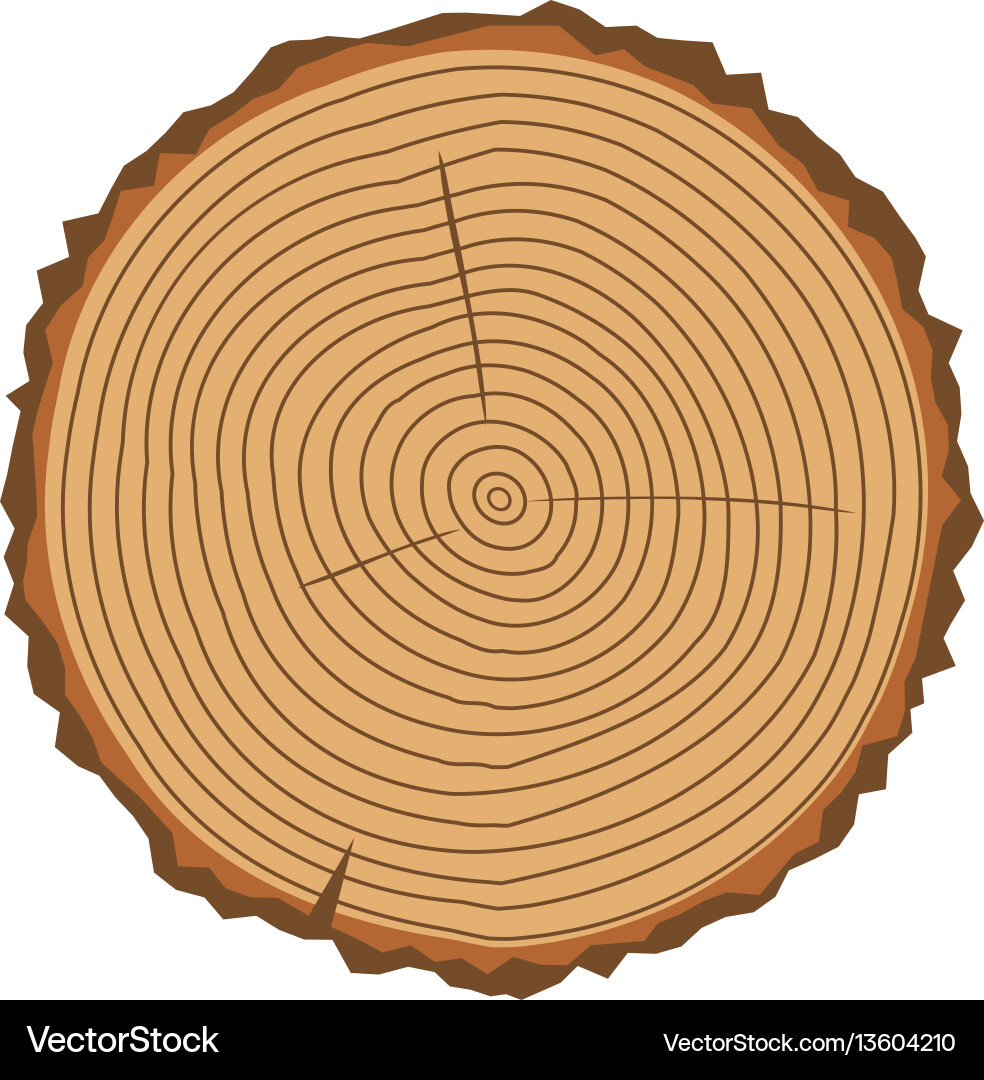 Wood Rings - Tree Cross Section Royalty Free Vector Image