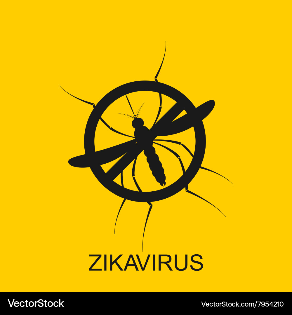 Zika mosquito virus alert aedes egyptian Vector Image