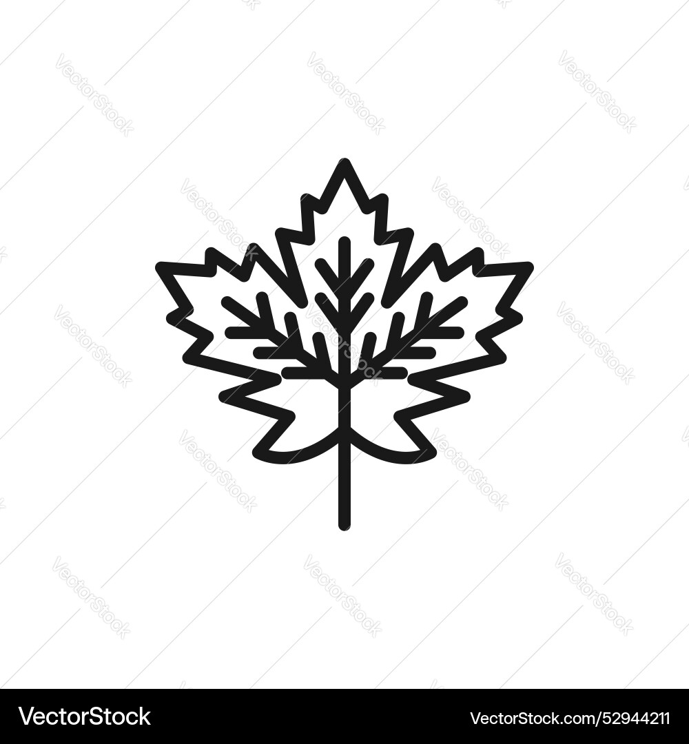 Maple leaf icon Royalty Free Vector Image - VectorStock