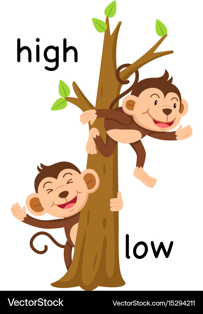 Opposite words high and low Royalty Free Vector Image