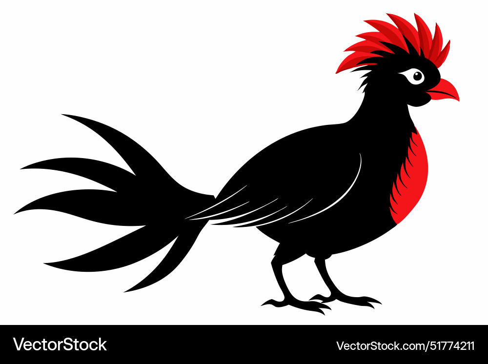 Red crested turaco b Royalty Free Vector Image