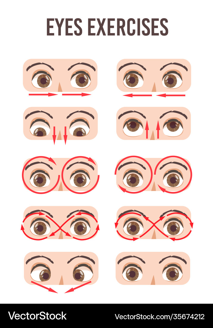 Eye exercise set movement for eyes relaxation Vector Image