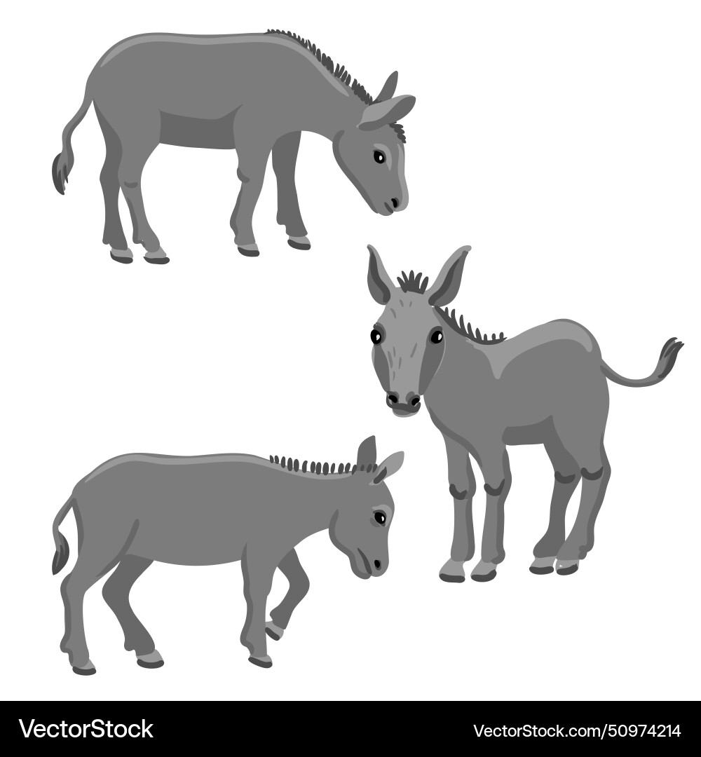 Drawing grey donkey Royalty Free Vector Image - VectorStock