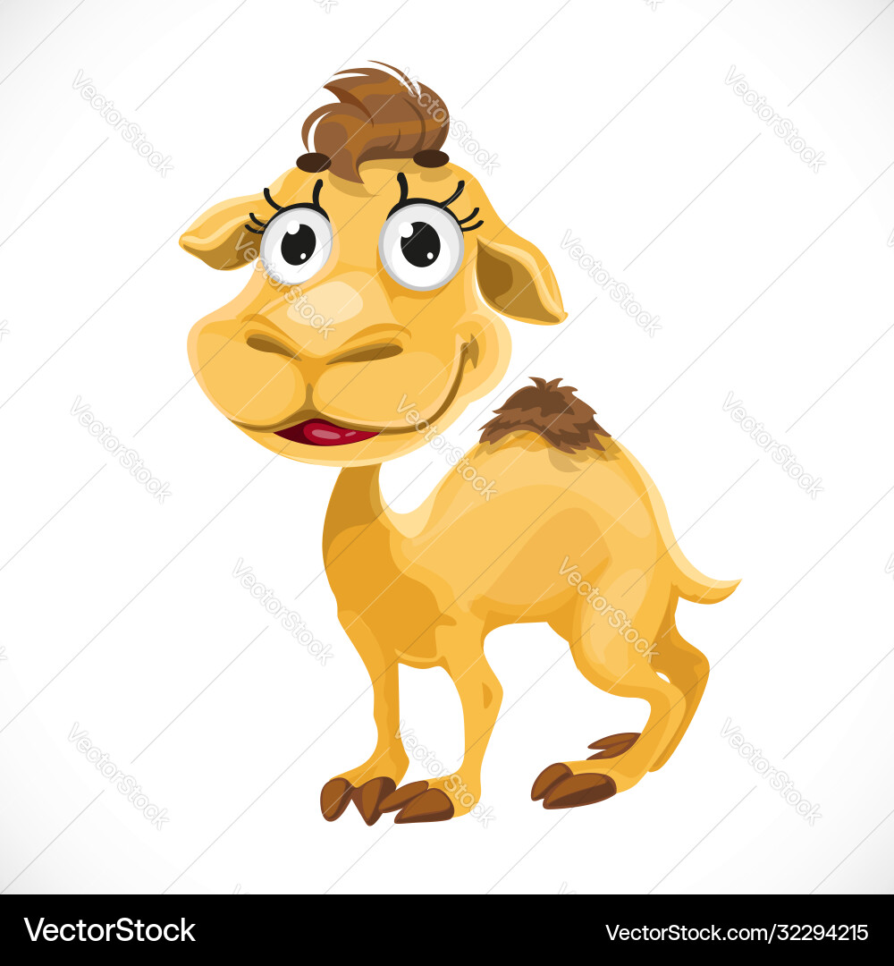 Cute baby camel isolated on white background Vector Image