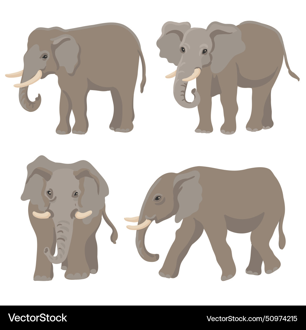 Drawing elephant cartoon animal Royalty Free Vector Image