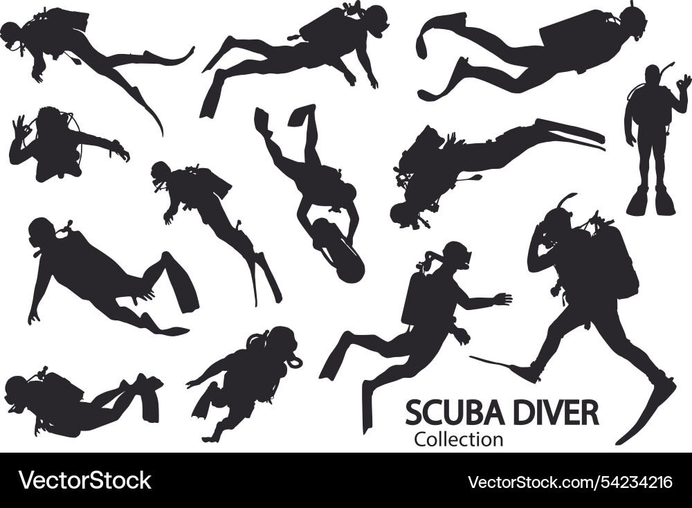 Scuba diver silhouettes Royalty Free Vector Image
