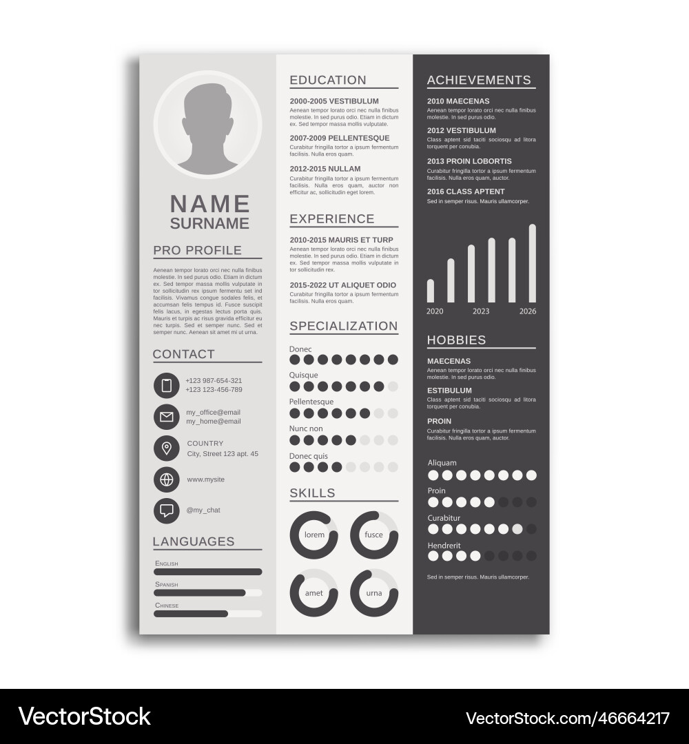 Professional Resume & CV Template Royalty Free Vector
