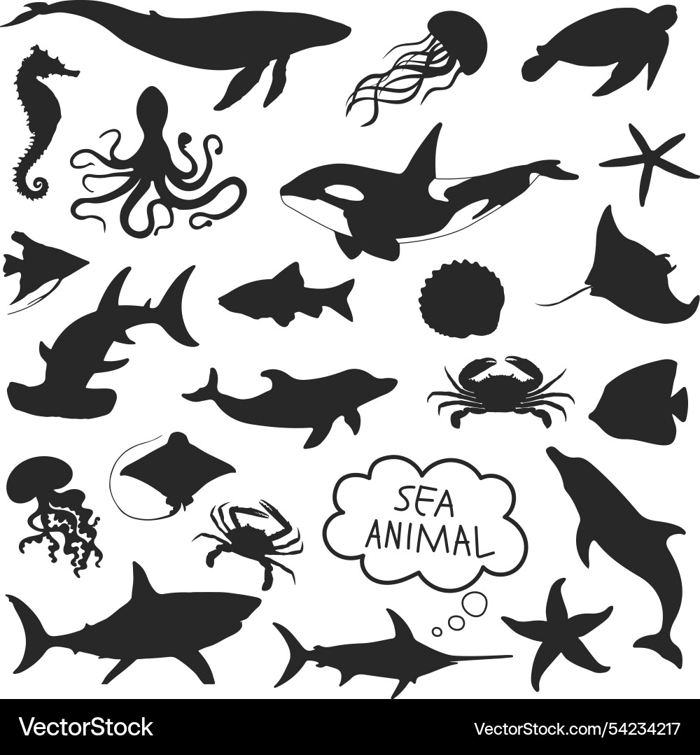 Sea water animals Royalty Free Vector Image - VectorStock